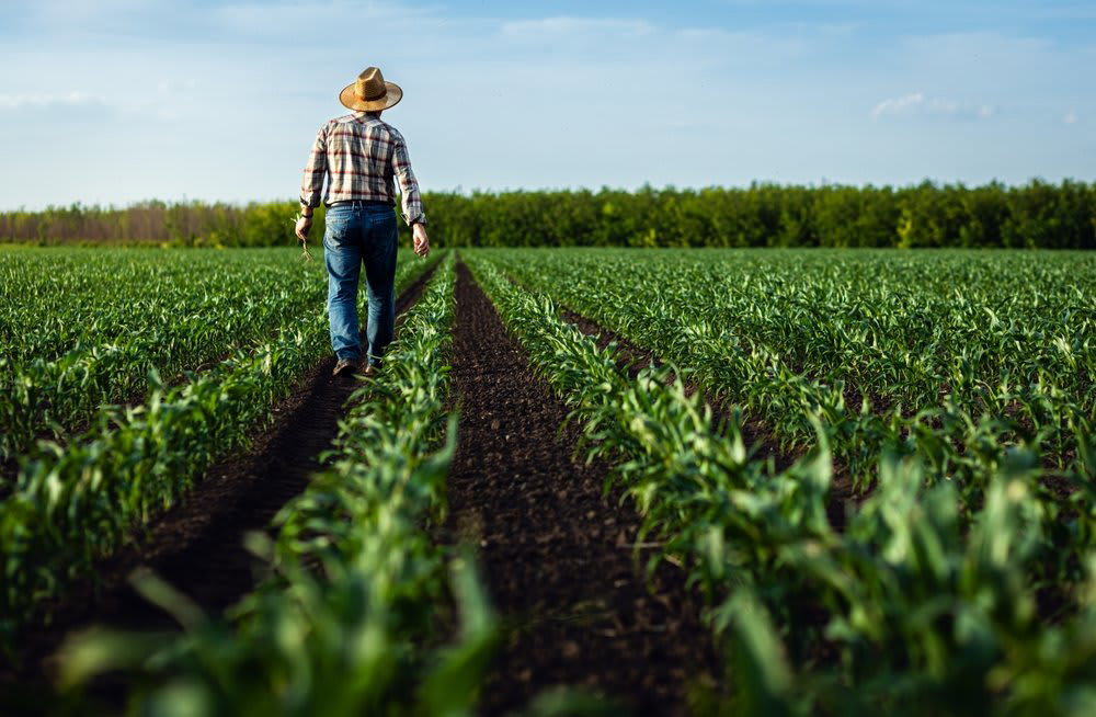 Tariff-battered U.S. farmers are getting exactly what they deserve: ex ... Tariff-battered U.S. farmers are getting exactly what they deserve: ex ...