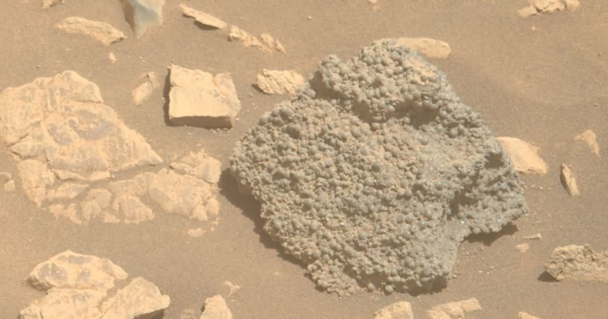 NASA's Perseverance Rover Captures a Strange Rock With Hundreds of ...