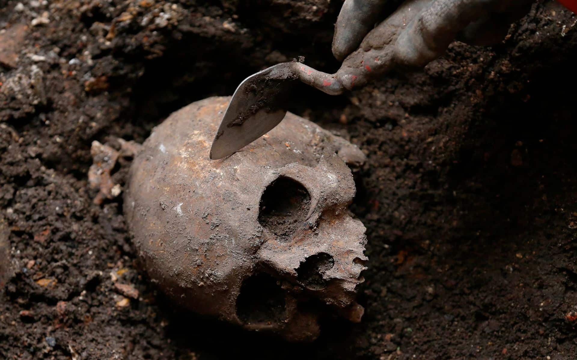 Maya Families May Have Moved With Their Ancestors’ Bones, New Study ...