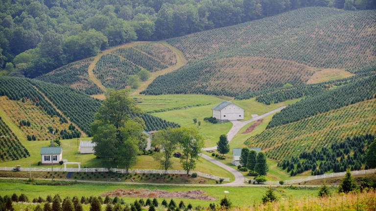 Agriculture disaster assistance process opens