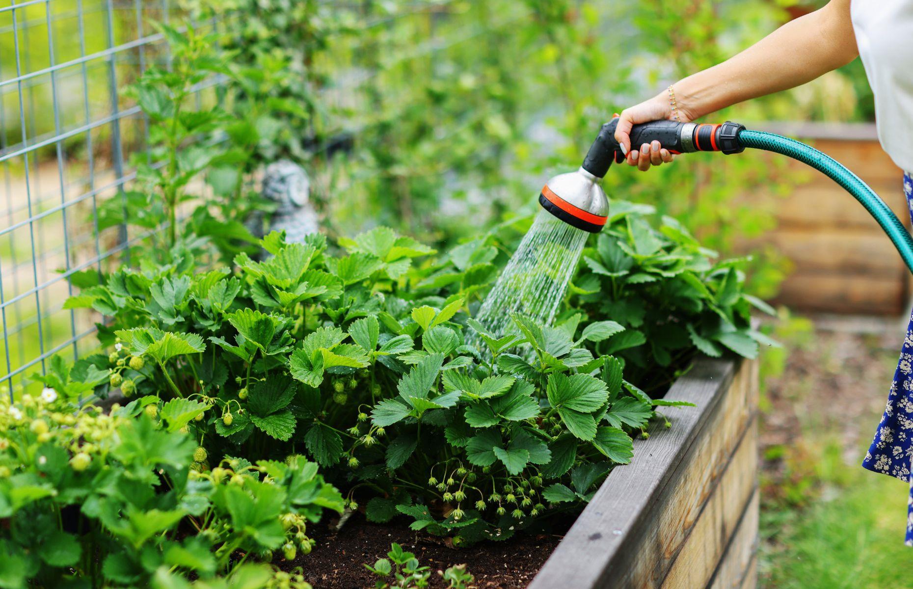 22 popular household myths that could be doing more harm than good