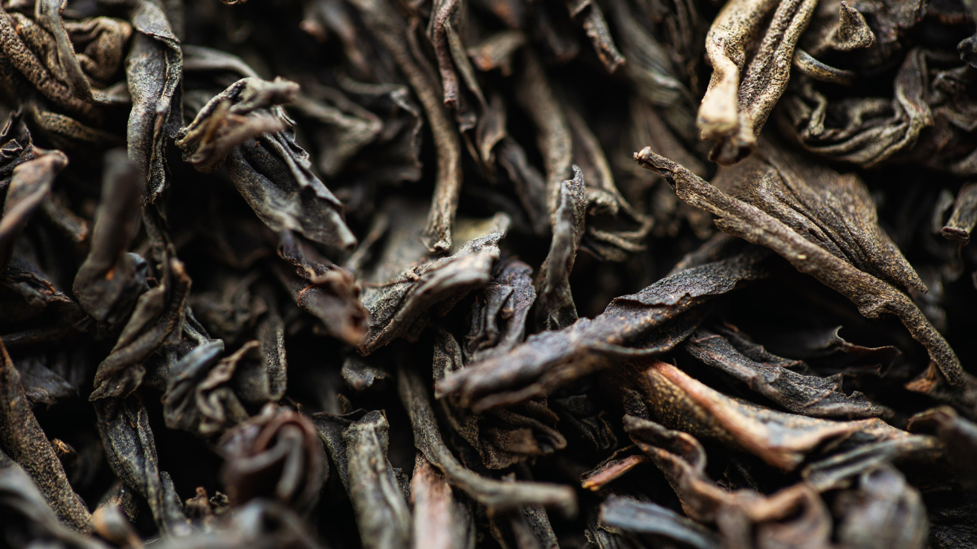 Tea and longevity: why tea drinkers live longer
