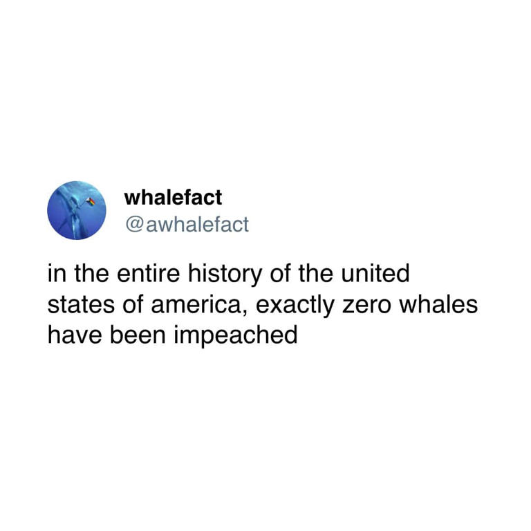 50 Funniest Tweets By "Whale Fact" That Offer Satirical But Technically ...