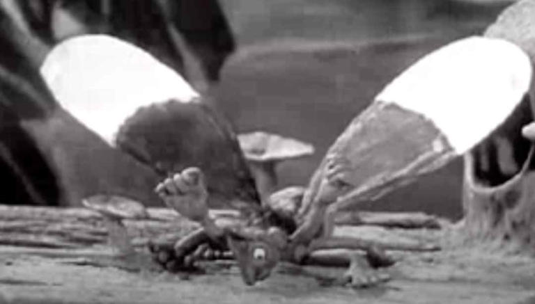 Exploring the early clay animations of Joseph Sunn