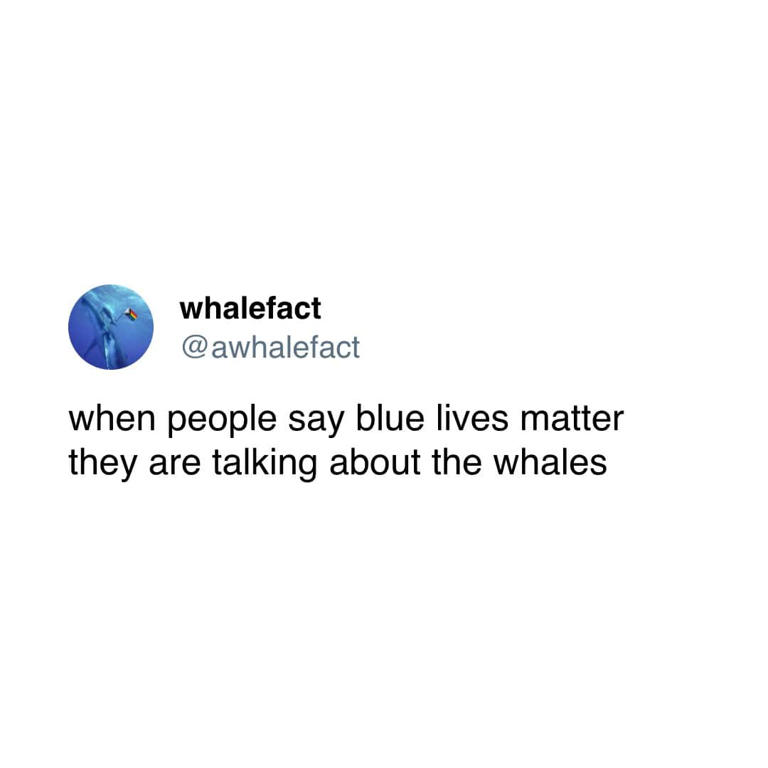 50 Funniest Tweets By "Whale Fact" That Offer Satirical But Technically ...