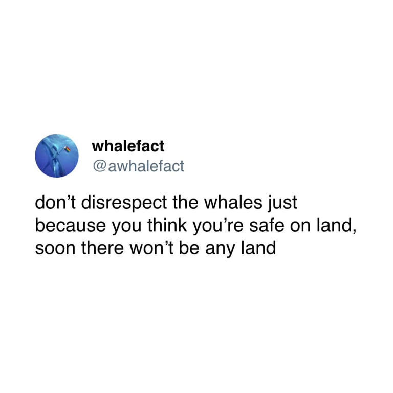 50 Funniest Tweets By "Whale Fact" That Offer Satirical But Technically ...