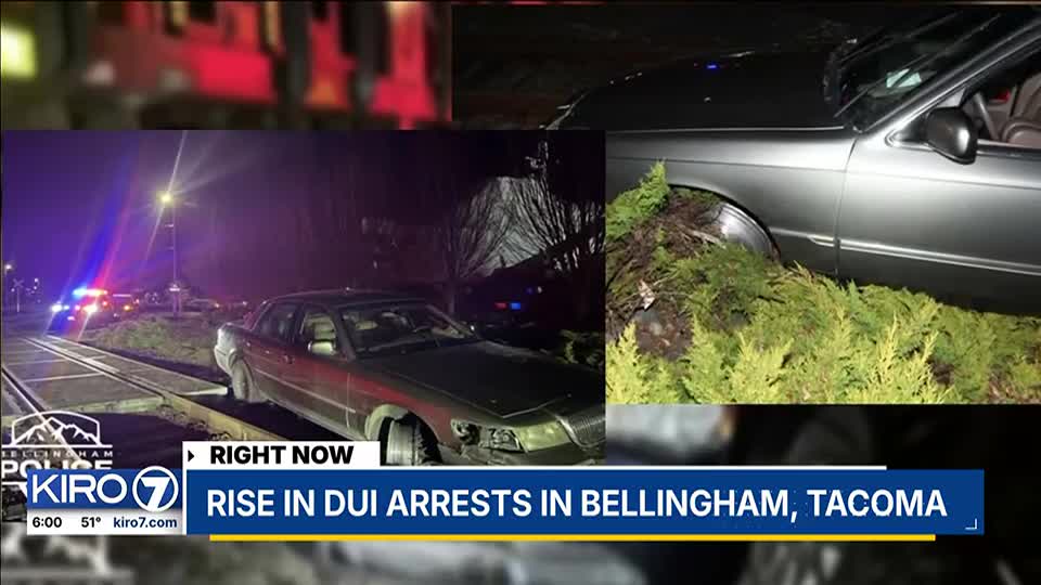 Bellingham sees highest rate of DUI arrests in 5 years