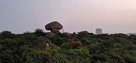 Bulldozing nature at HCU: A paradise lost?