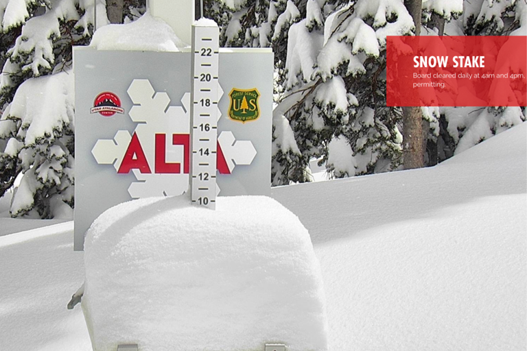 Alta Ski Area Surpasses 500 Inches of Seasonal Snowfall