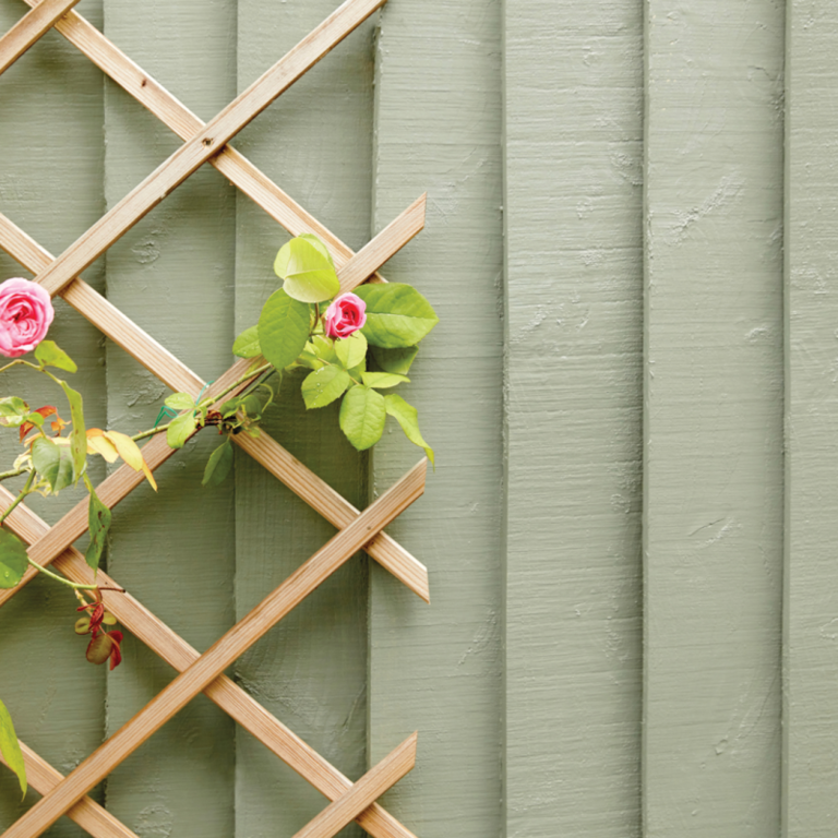 15 Backyard Fence Ideas For Privacy in Style