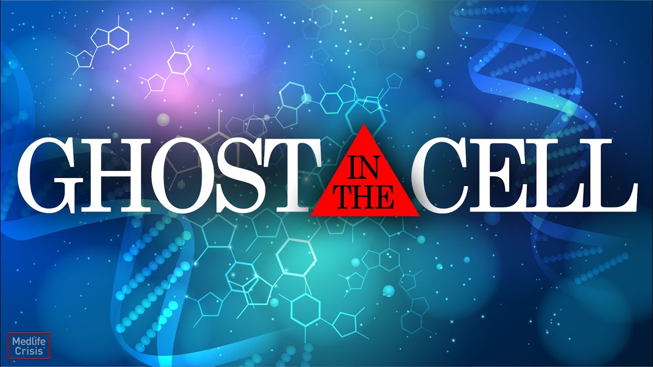 The Ghost Viruses Hiding In Your DNA...