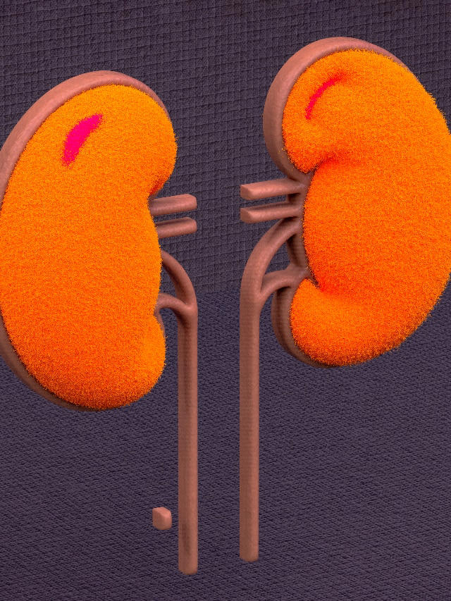 Berries to Salmon fish: 7 best foods for kidney health; Check here