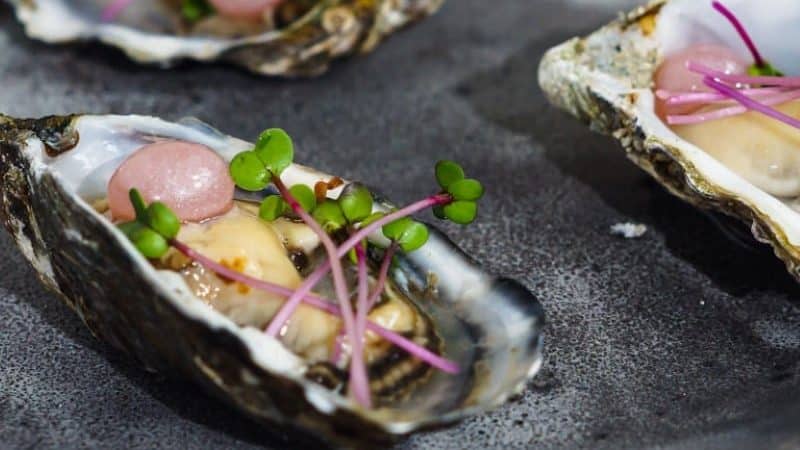 Everything You Need To Know About Squid