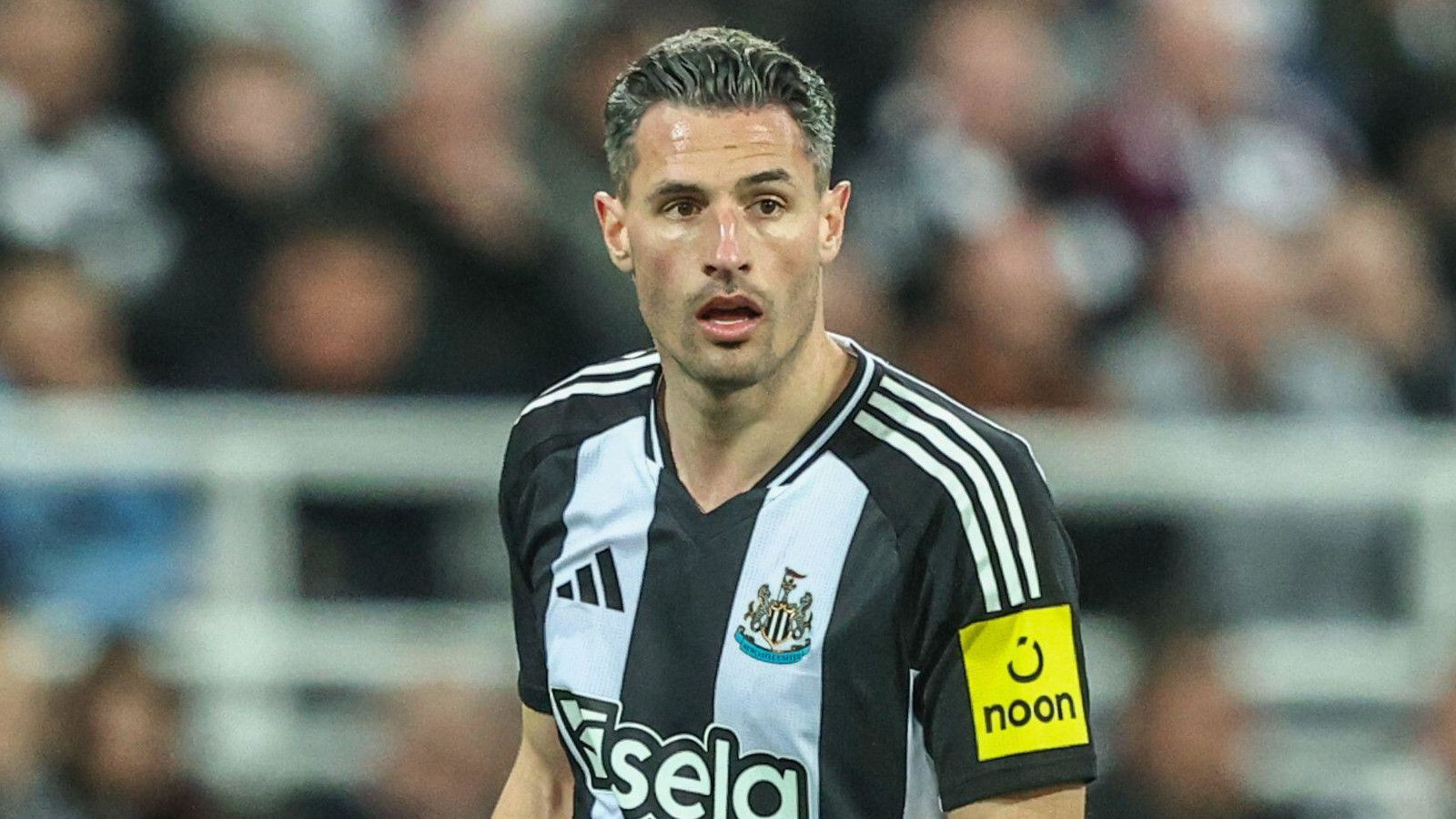 Fabian Schar: Newcastle not satisfied with performance against Leicester