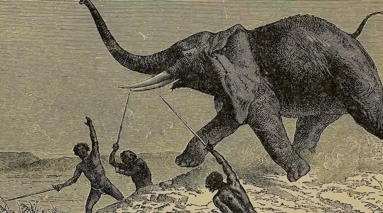 Execution By Elephant Stomping; A Very Gory Medieval Punishment