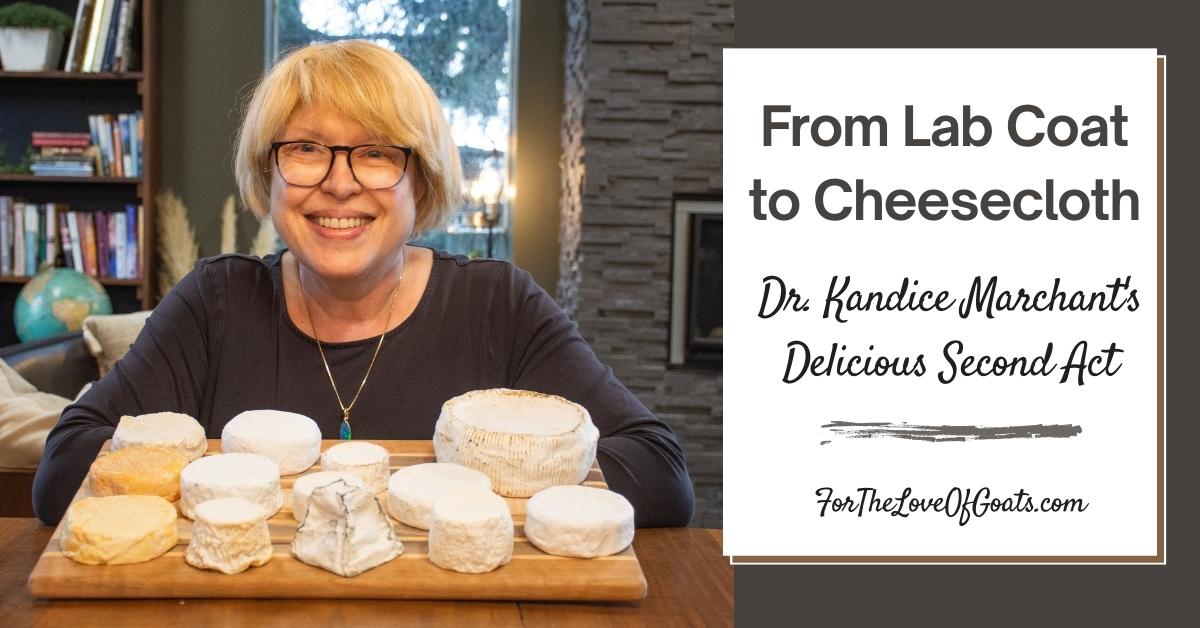 From Lab Coat to Cheesecloth: Dr. Kandice Marchant's Delicious Second Act