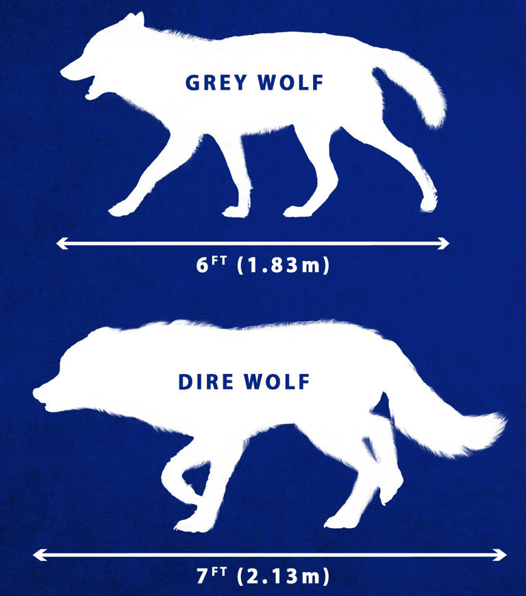 'Mad scientists' hit back at claims their 'de-extinct' dire wolf isn't ...