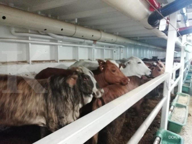 Estika Tata Tiara (BEEF) Minta Restu RUPS untuk Bagikan Saham Bonus