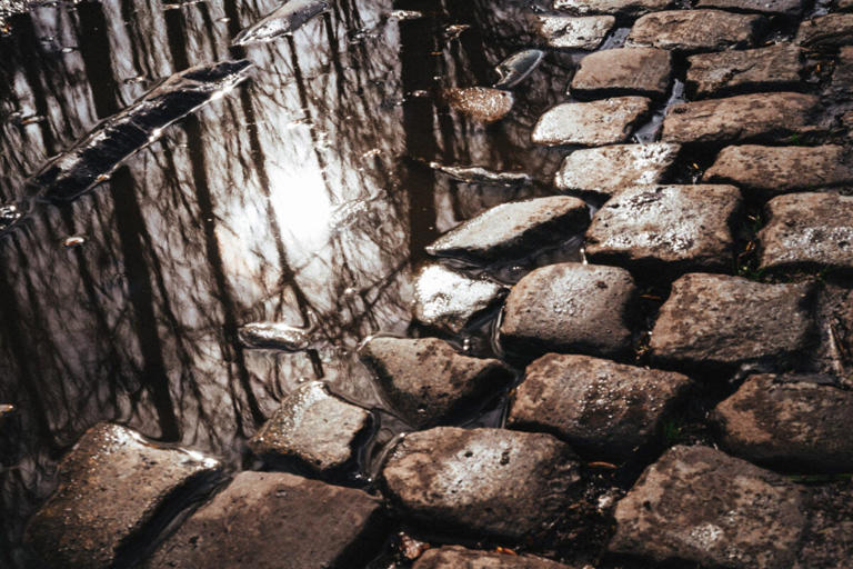 Paris-Roubaix Weekend Primer: The Worst Cobbles, The Top Favorites, the ...