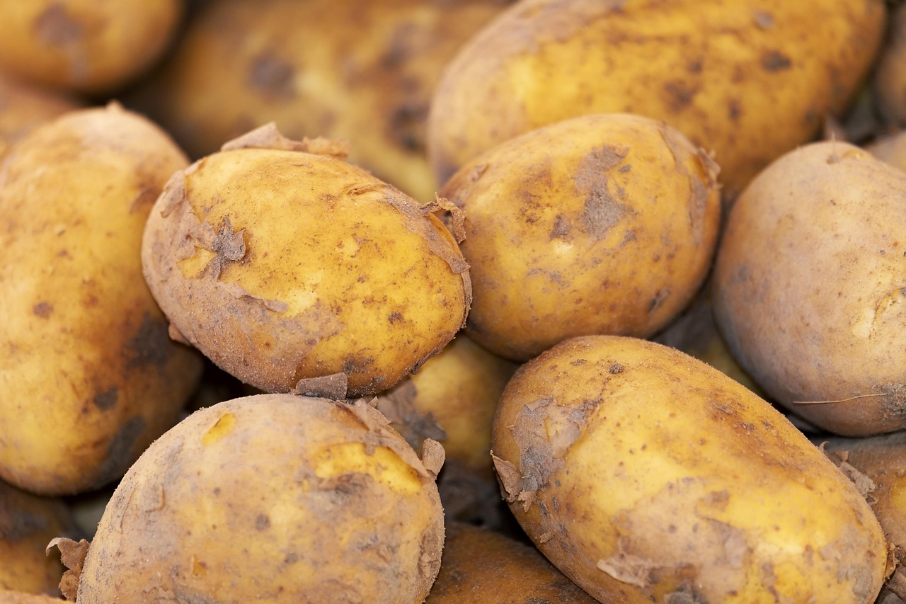 How the Potato Changed World History