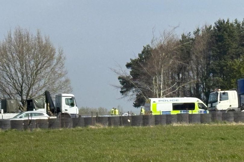 'It was awful': Witness describes moment glider 'tumbled out of the sky ...