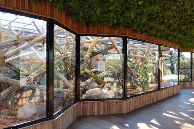 Colchester Zoo announce renovation of endangered species enclosure is ...