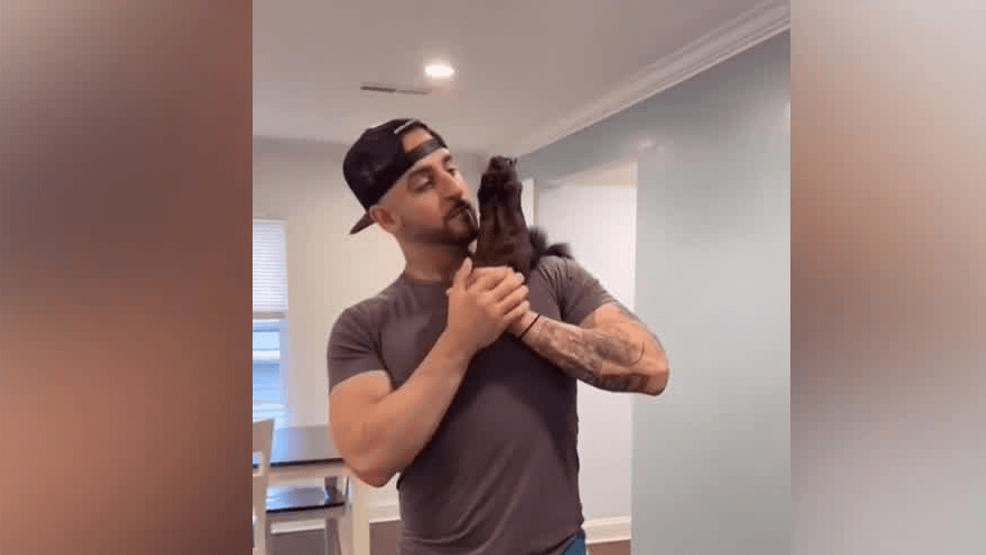 Squirrel's viral fame sparks new animal sanctuary legislation in New York