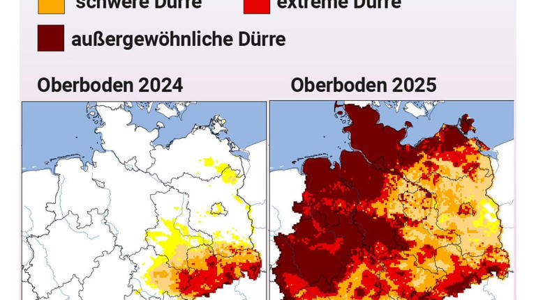 Dürre in Deutschland: Sommer 2025 droht alle Rekorde zu sprengen
