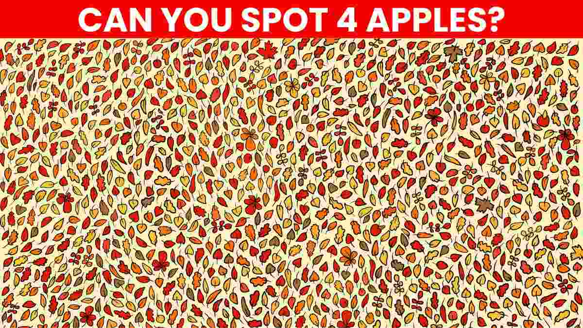 Picture Puzzle IQ Test: Only Genius-Level Observers Can Spot All 4 ...