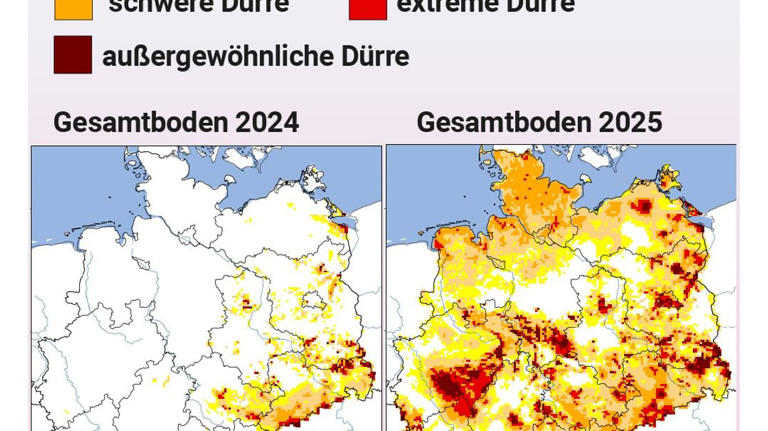 Dürre in Deutschland: Sommer 2025 droht alle Rekorde zu sprengen