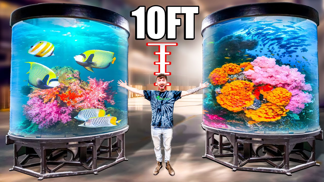 $100,000 Fish Tank Installed!!