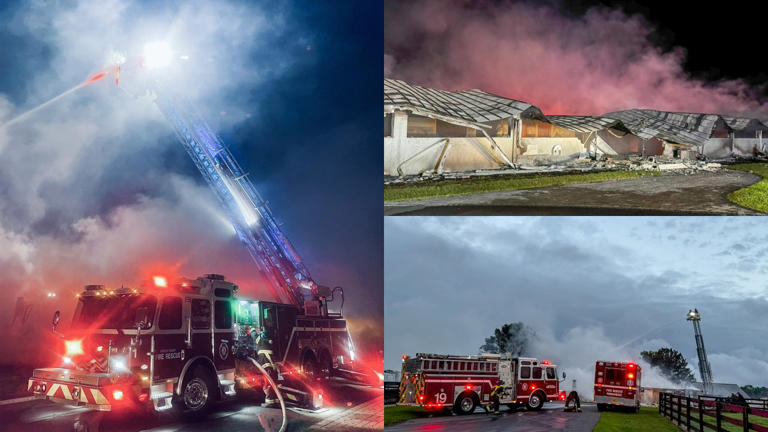 21 horses killed in Marion County barn fire, officials say