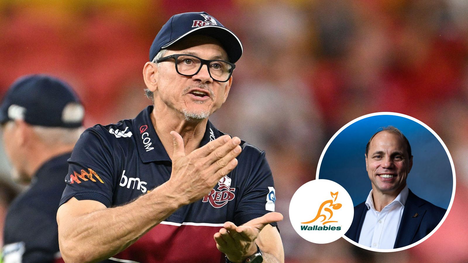 Wallabies one step closer to appointing Joe Schmidt successor as ...