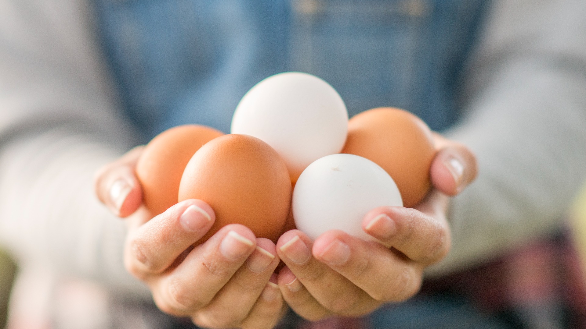 6 Best And 5 Worst Egg Brands To Buy