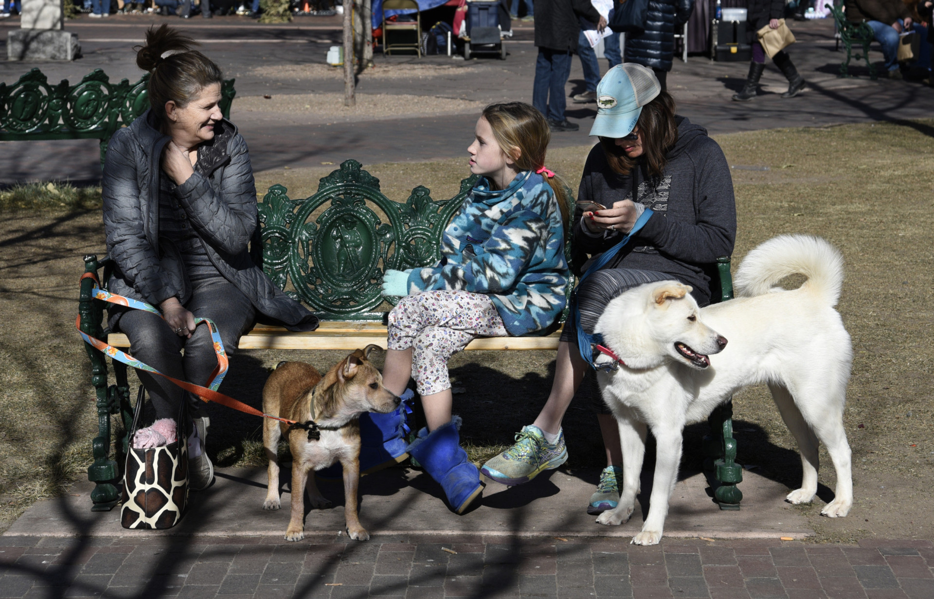 Disse rasene blir de beste familiehundene