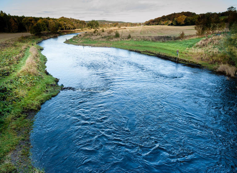 Top Scottish Salmon Rivers 2025: These are 10 of the best rivers in ...