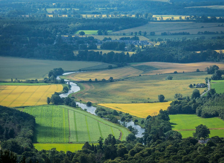 Top Scottish Salmon Rivers 2025: These are 10 of the best rivers in ...