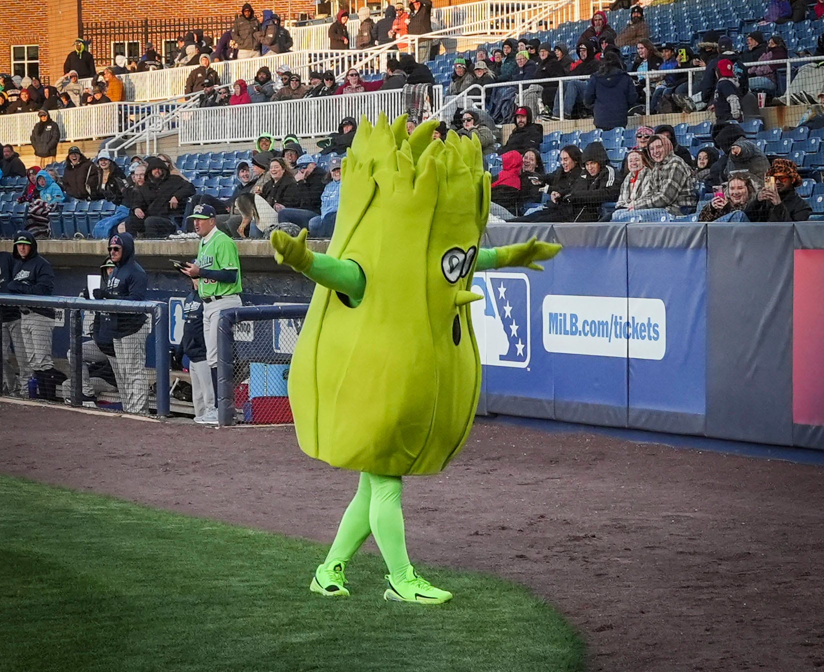 Wilmington Blue Rocks open 2025 home schedule at chilly Frawley Stadium