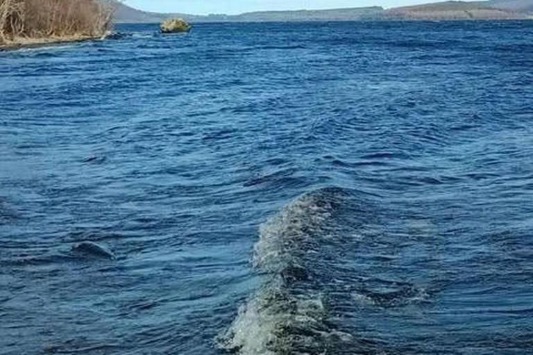 Loch Ness Monster 'sighting' sparks public drive for large scale loch 'hunt'