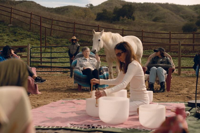 The sound bath companion at this L.A. 'healing' ranch? A horse, of course