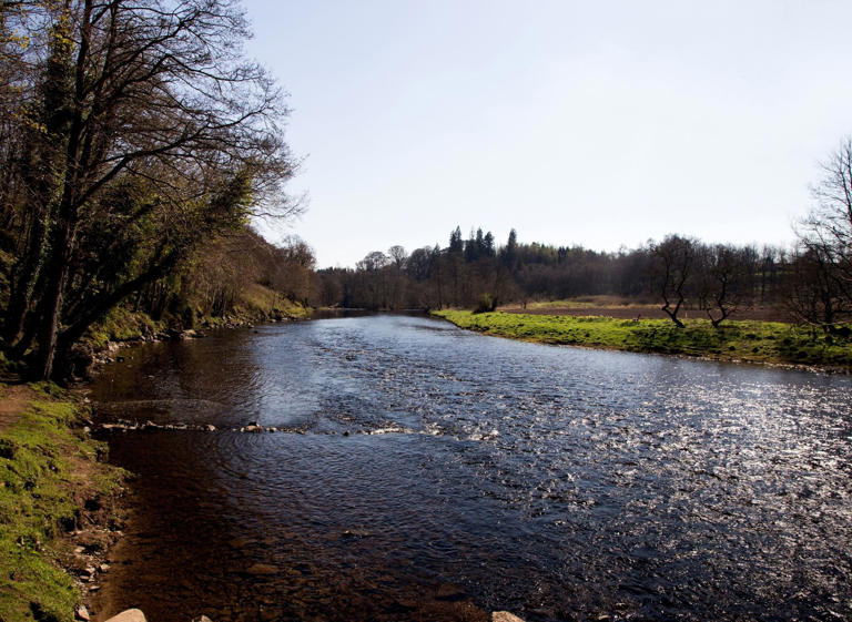 Top Scottish Salmon Rivers 2025: These are 10 of the best rivers in ...
