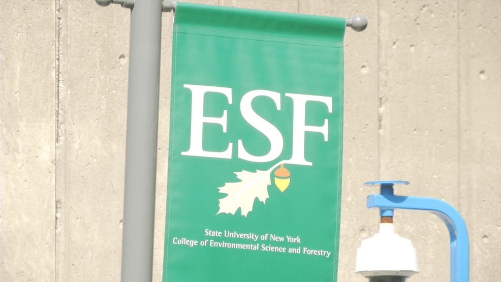 SUNY ESF to receive state funding for AI research