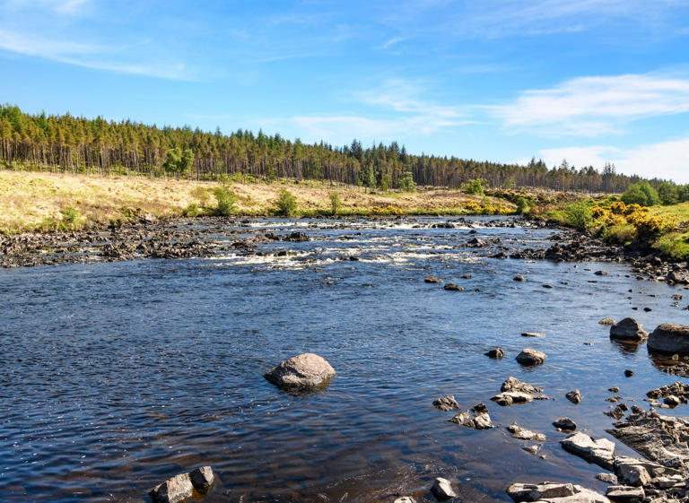 Top Scottish Salmon Rivers 2025: These are 10 of the best rivers in ...