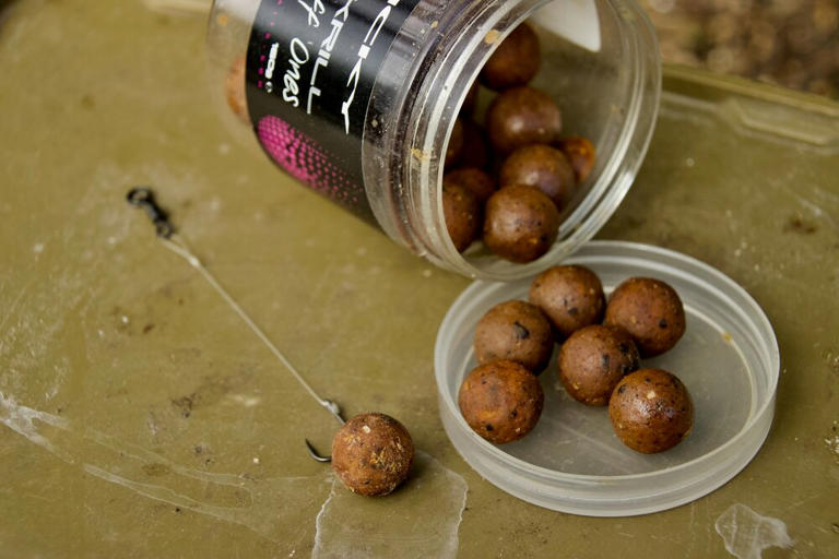 How to target the biggest carp in a lake | Adam Penning