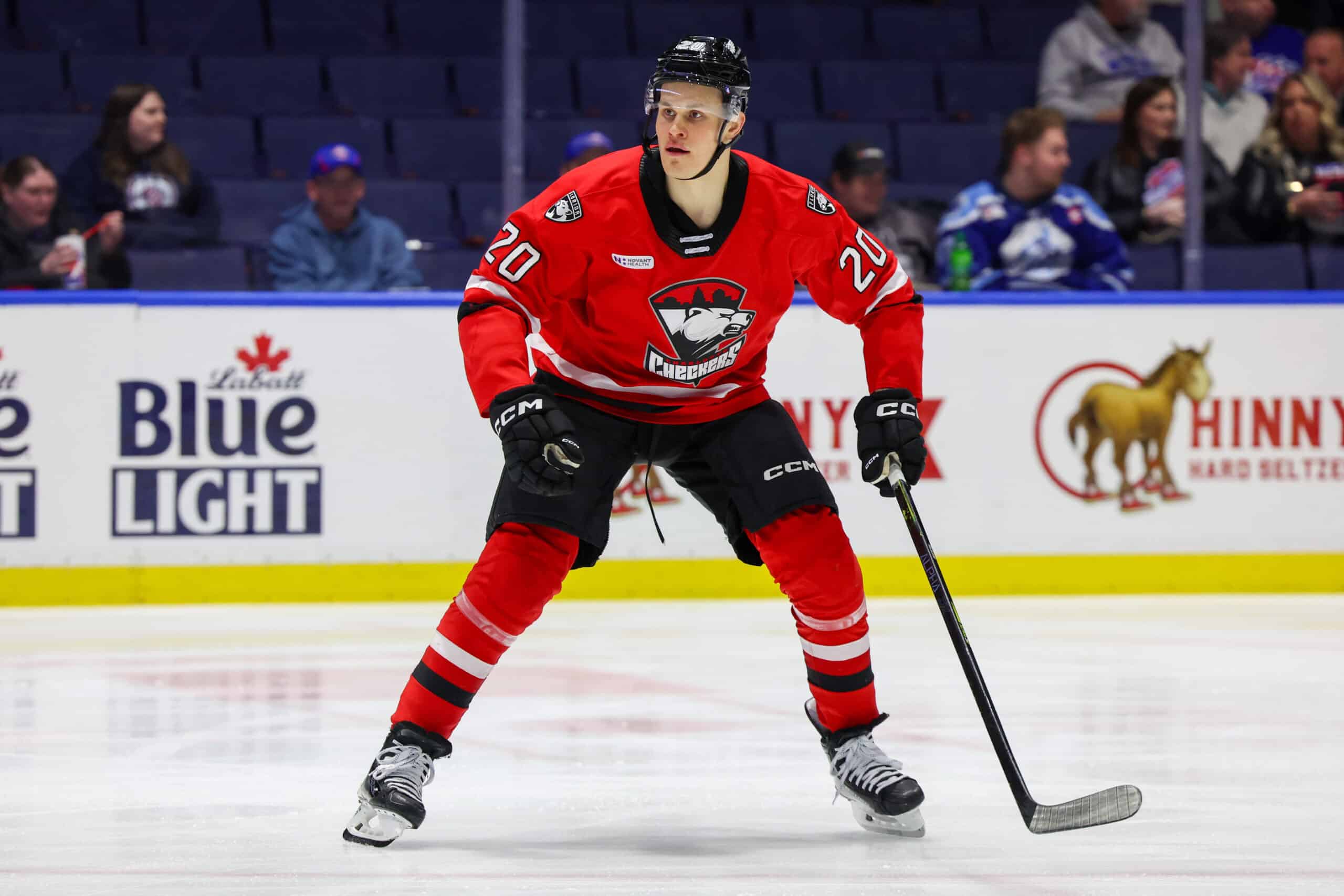 Se siitä hehkuttelusta – Jesse Puljujärvelle tyly kohtalo