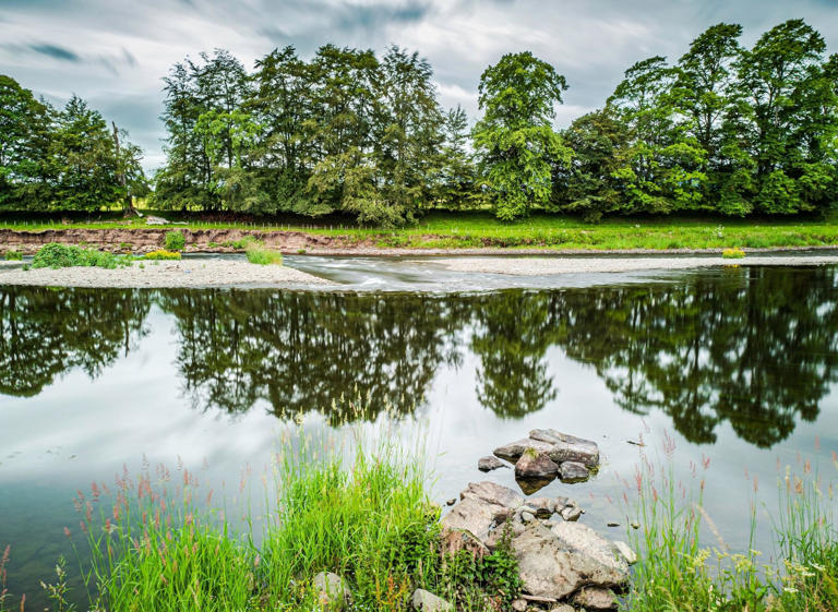 Top Scottish Salmon Rivers 2025: These are 10 of the best rivers in ...