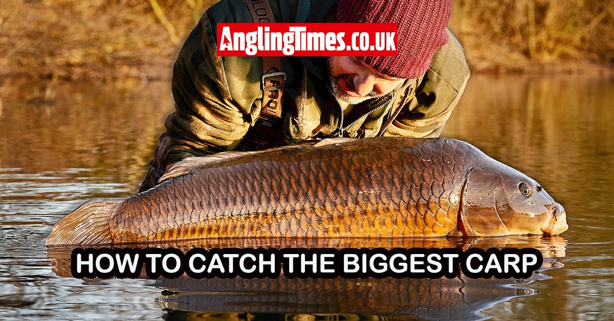 How to target the biggest carp in a lake | Adam Penning