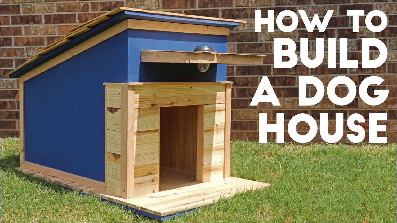 How to Build a Modern Dog House – Step-by-Step Guide