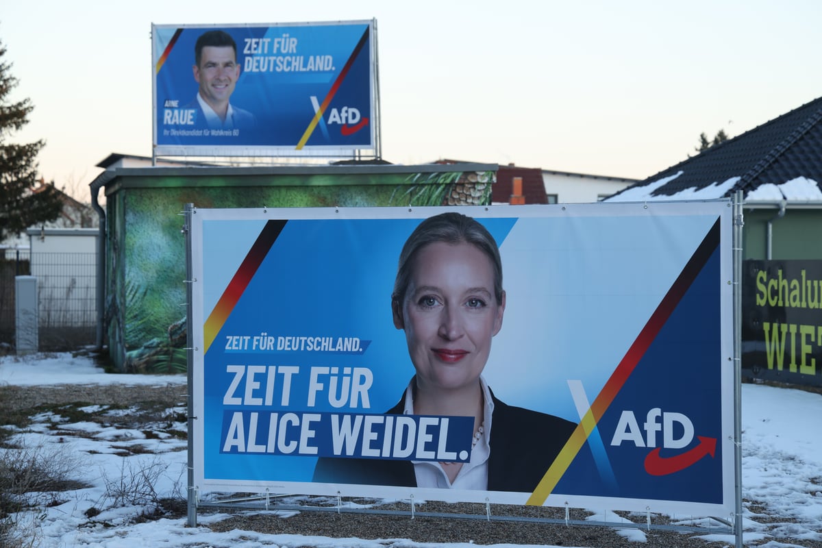 Germany's far-right AfD party tops major poll for first time as other ...