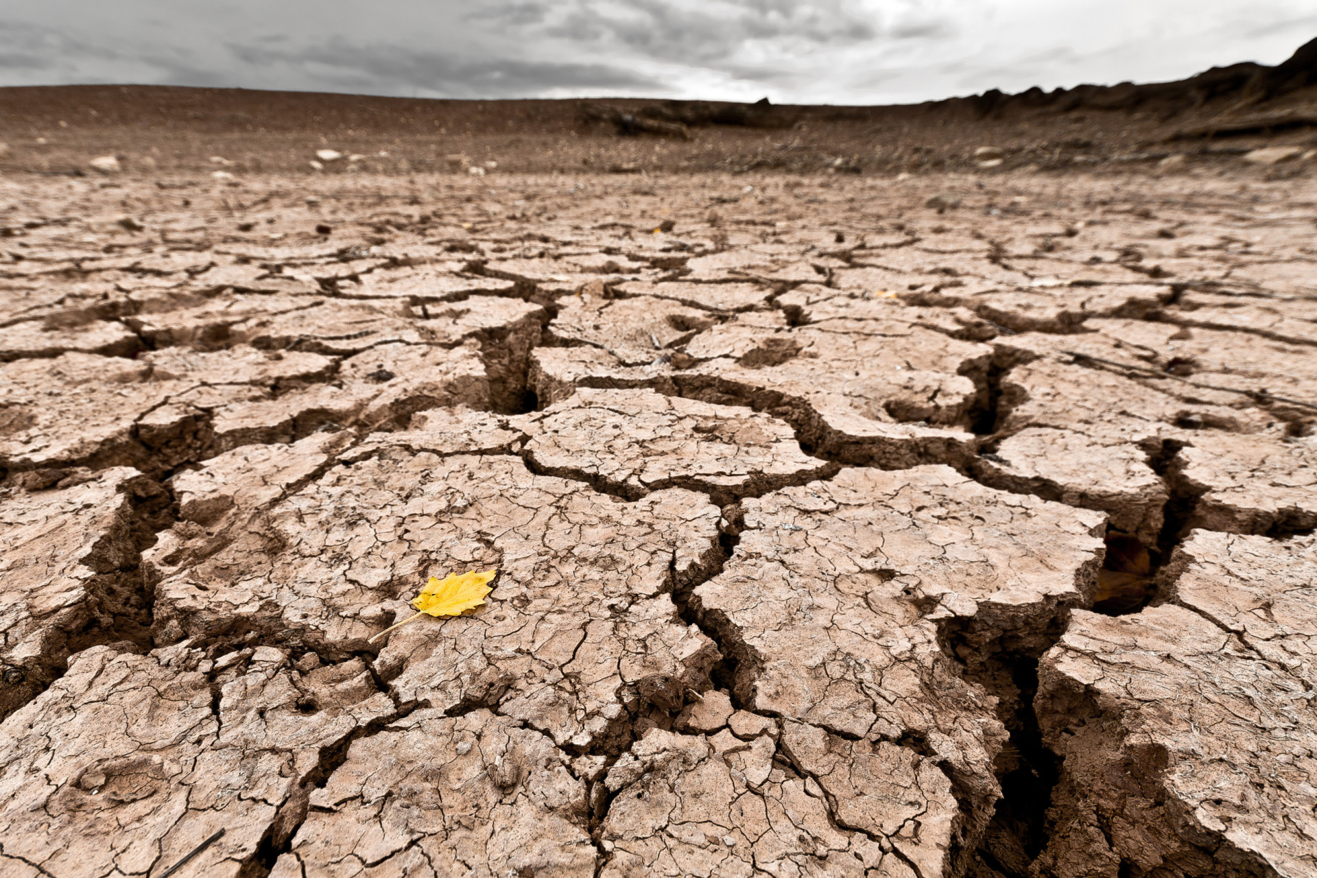 15 Common Mistakes That Lower Your Home’s Value